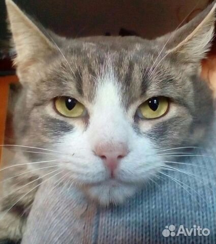 Митенька-Митяй-невероятный ласкуша в дар