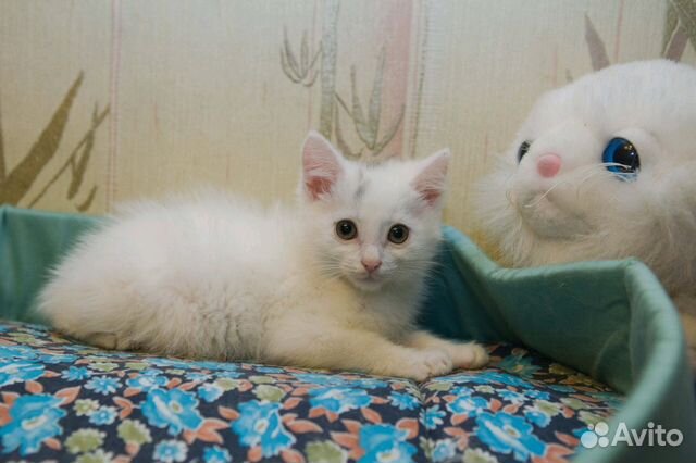 Маленькое облачко