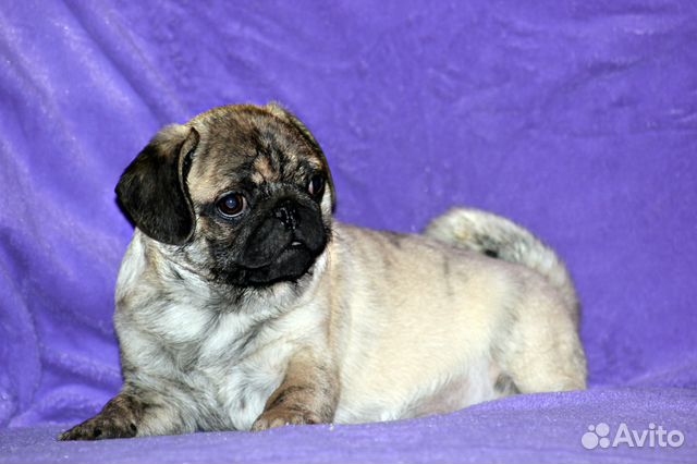 Очаровательный мальчик