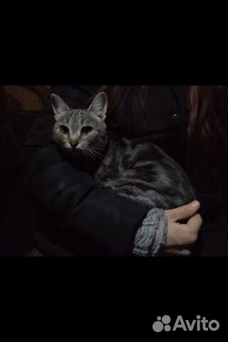 Пожалуйста прочтите