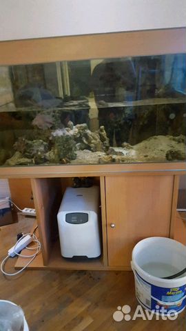 Аквариум морской Аквамедик 120х65х65