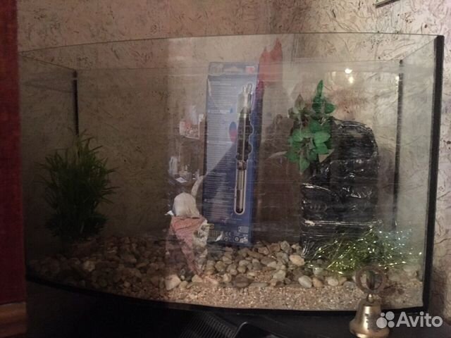 Аквариум