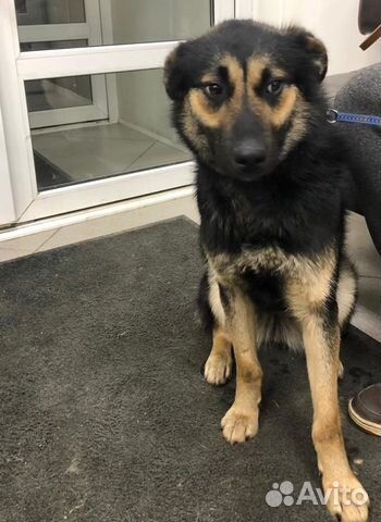 Лера ищет дом