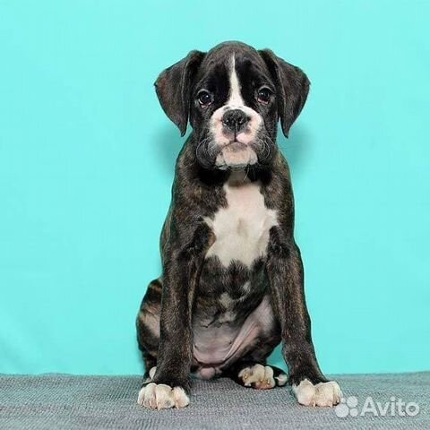 Необыкновенная Чудо