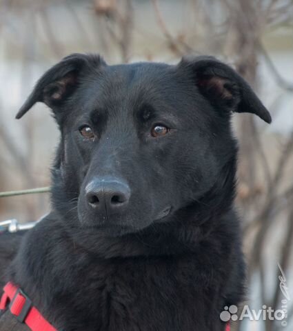 Бонди ждет семью