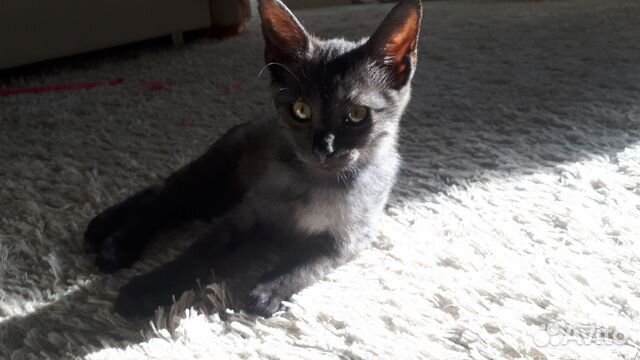 Уникальная девочка в надежные руки