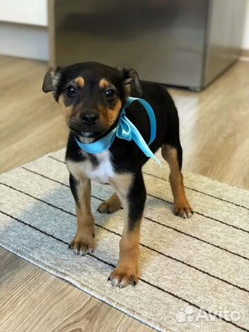 Любящей семье в дар