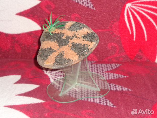 Островок для черепахи