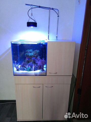 Морской аквариум 100 л