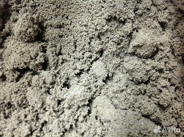 Яйцо (цисты) артемии