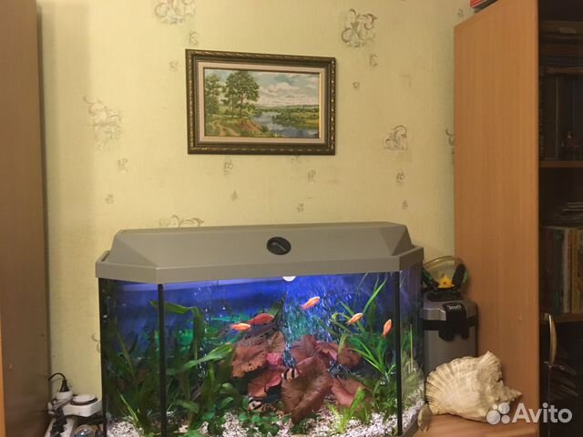 Аквариум 100 л с оборудованием