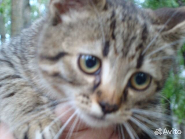 Малыш Васька