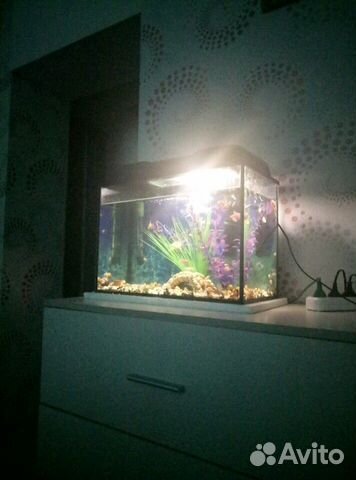 Аквариум с рыбками 45литров