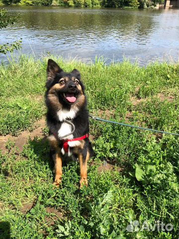 Джуля ищет свою семью