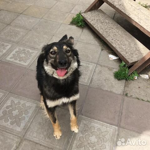Кукла в добрые руки