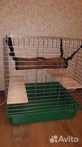 Продаются хорьки(фредки )