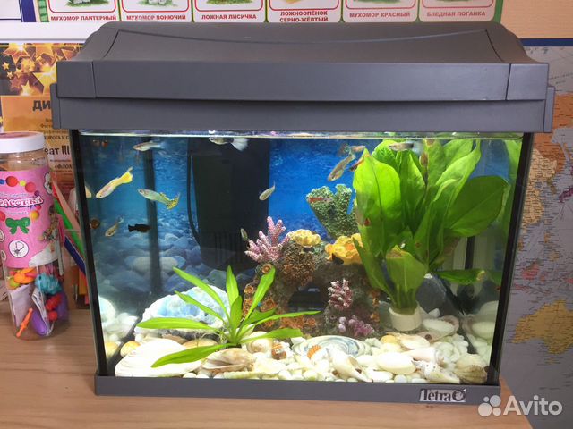 Аквариум Tetra 20 литров