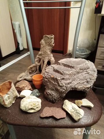 Аксессуары для аквариума, камушки, ракушки, декор