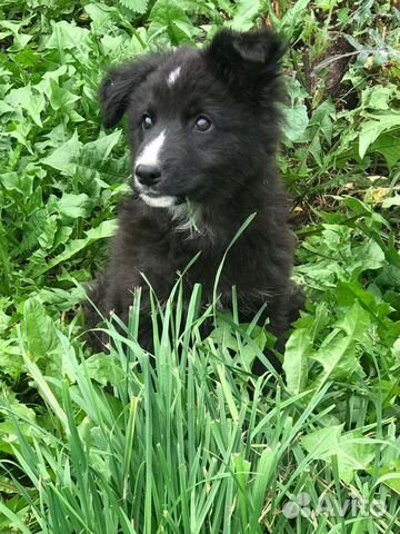 Классный пацан