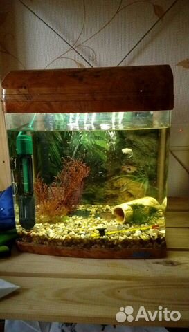 Аквариум Jebo R331 23л