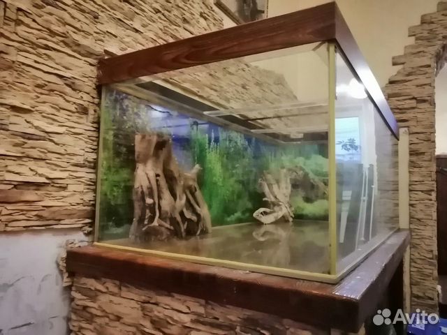Аквариум