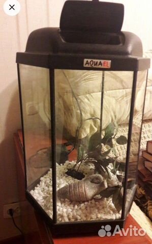 Аквариум