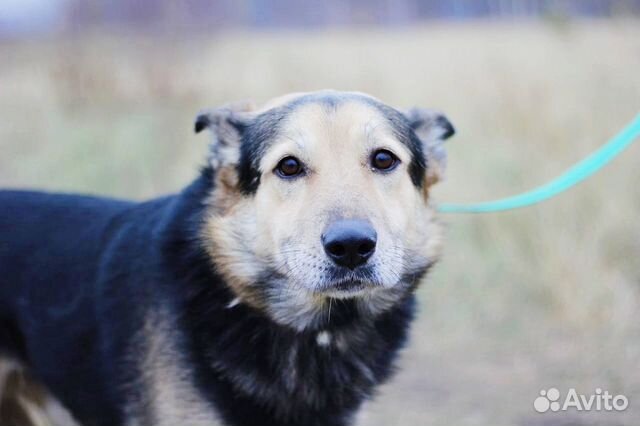 Дядечка Веня в дар