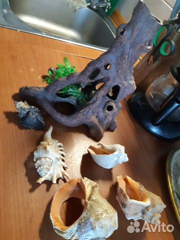 Грунт, водоросли, декор, сачки