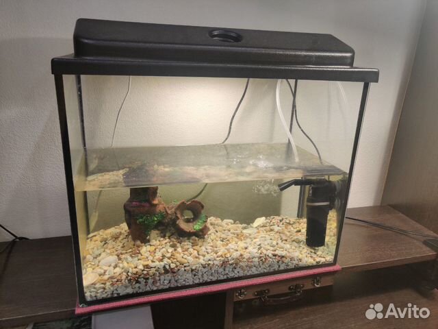 Аквариум