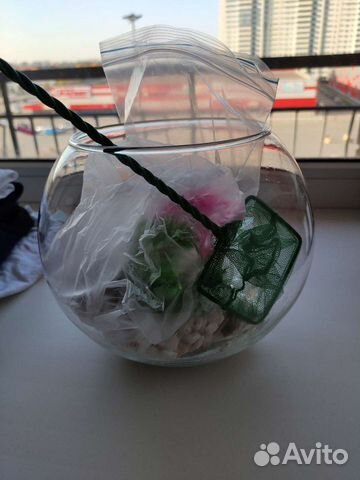 Аквариум для петушка на 3 л