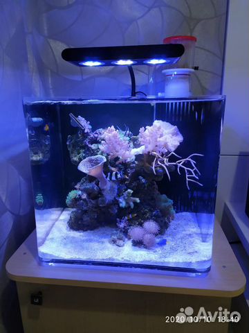 Морской аквариум