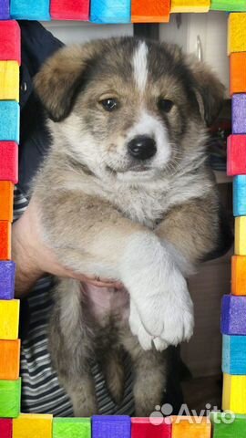 Крутые парни