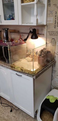 Аквариум 60 см 40см 32 см