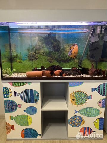 Аквариум с тумбой и оборудованием