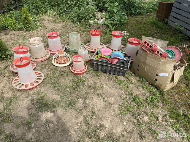 Для птичника: кормушки, поилки