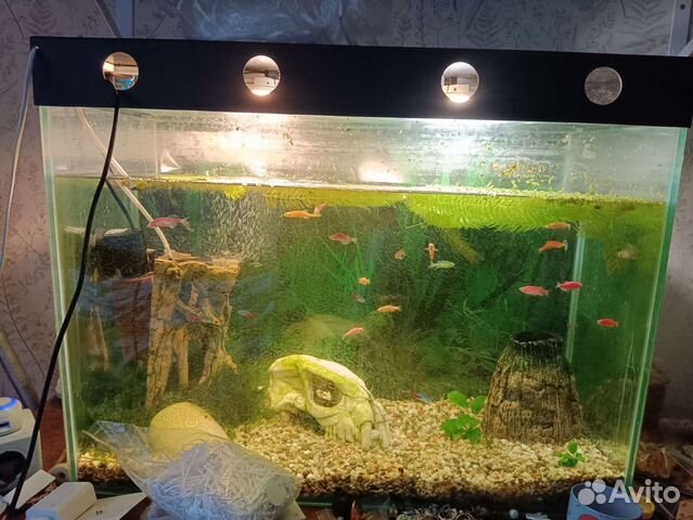 Аквариум на 100 литров