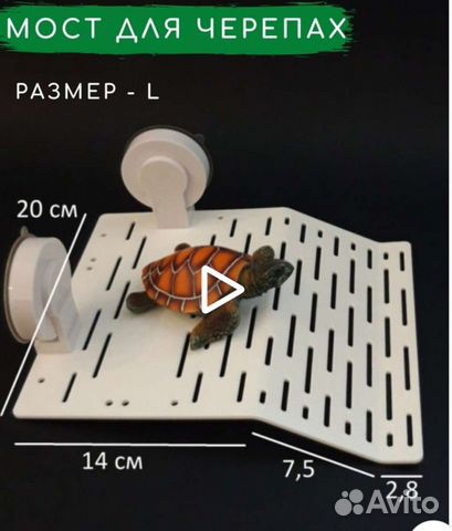 Плот для черепах