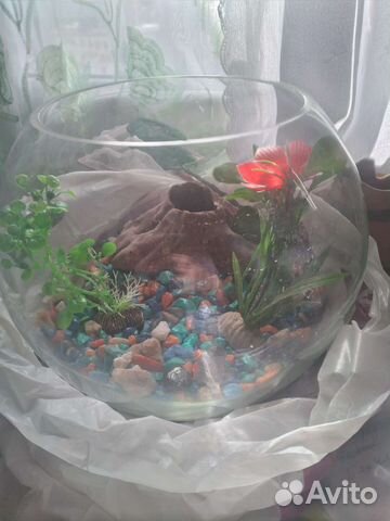 Аквариум с украшениями