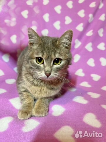 Ласковая Марта готова вас осчастливить