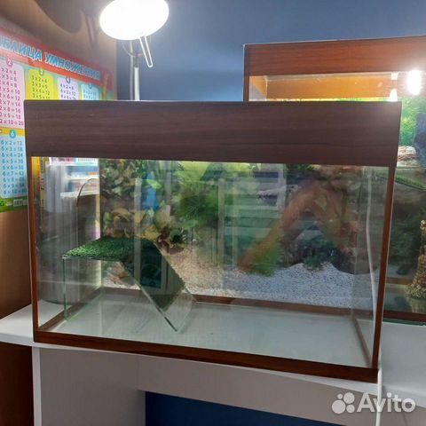 Аквариум для красноухой черепахи