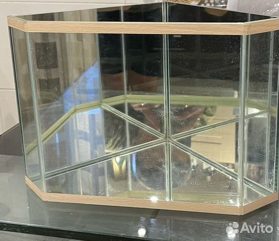 Аквариум маленький