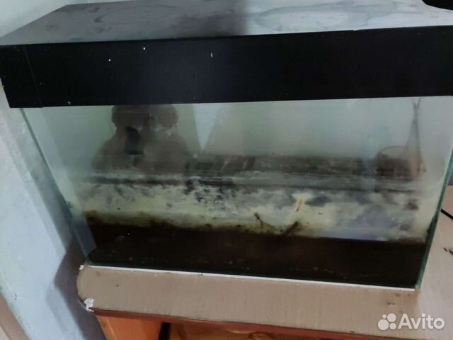 Аквариум 80-90 литров отдам бесплатно