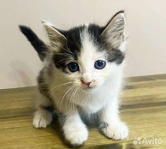 Сладкий малыш