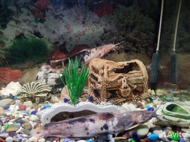 Украшение для аквариума