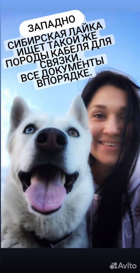 Ищу кабеля для связки